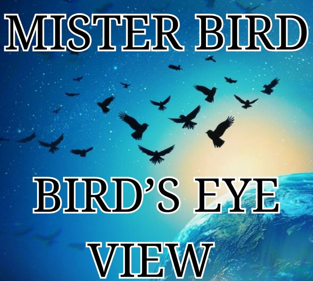 Mister Bird Productions